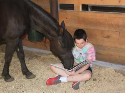 Farm animal therapists help children overcome trauma – Love What Matters