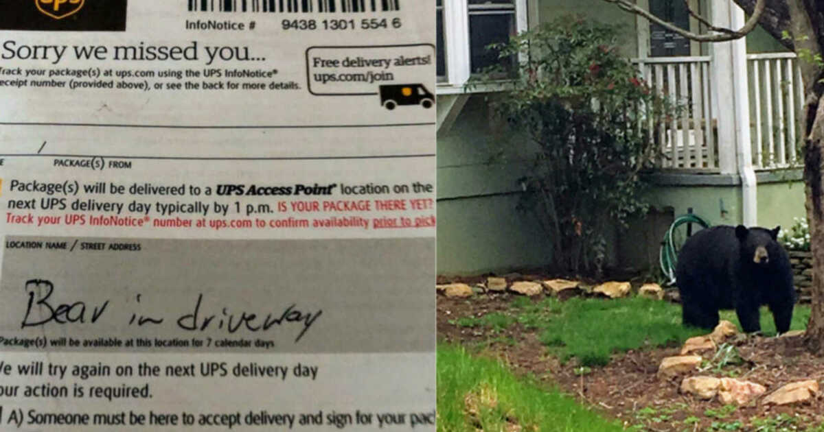 UPS Driver’s Hilarious Reason For Not Delivering My Package – Love What ...