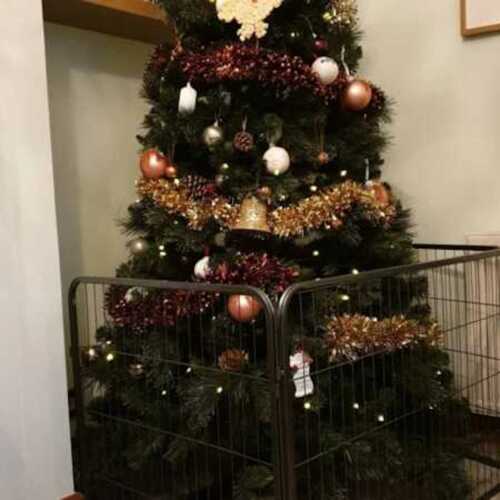 15 Hilariously Pet-Proofed Christmas Trees To Make You Smile – Love ...