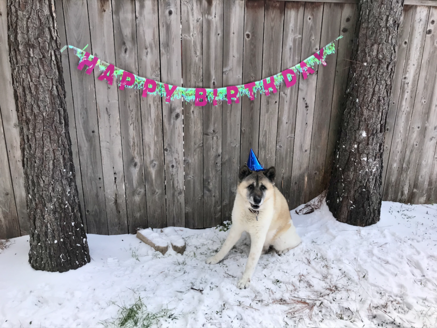 ‘A full 365 days later, my grief still mattered.’: Mourning woman ...