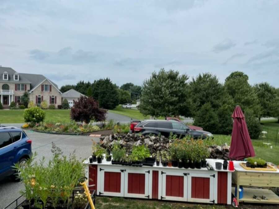 Meet ‘Butterfly Lady’ Donna Scott Thompson: The Woman Who Is ...