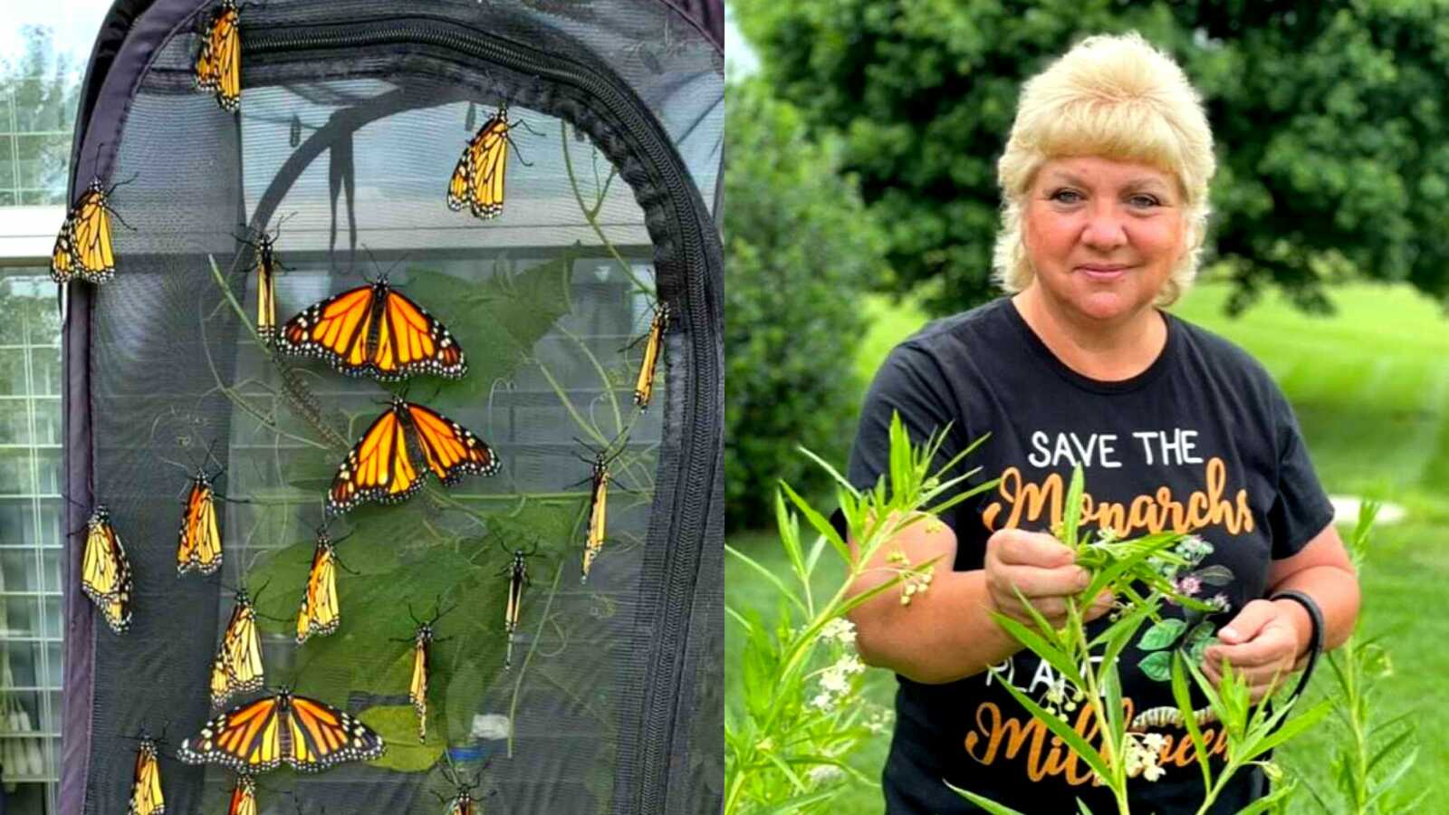 Meet ‘Butterfly Lady’ Donna Scott Thompson: The Woman Who Is ...